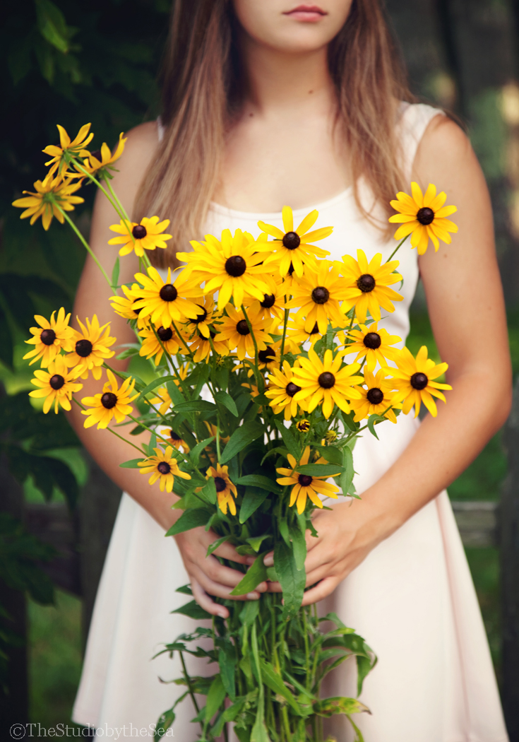 beautiful. » Cape Cod Portraits by The Studio by the Sea