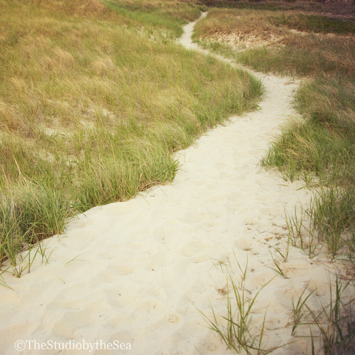 path-i